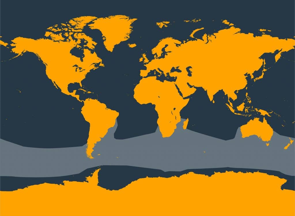 Southern right whale - Whale & Dolphin Conservation USA