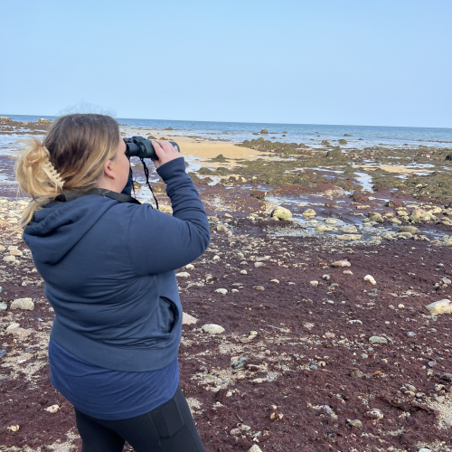 Career chat with Amy - from airplanes to animals - Whale & Dolphin ...