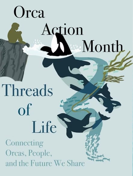 Orca Action Month - Whale & Dolphin Conservation USA
