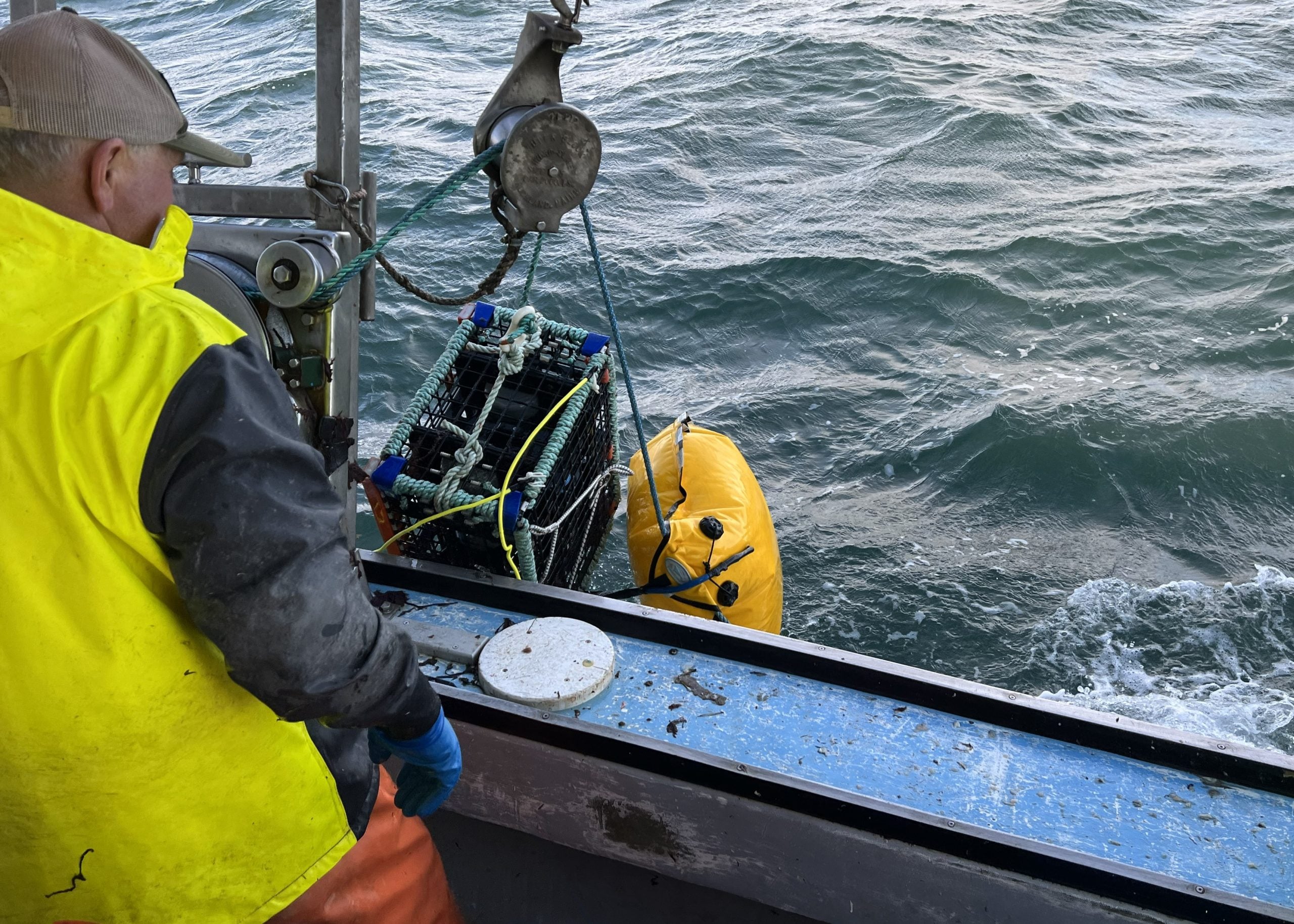 On-Demand Fishing - Whale & Dolphin Conservation USA