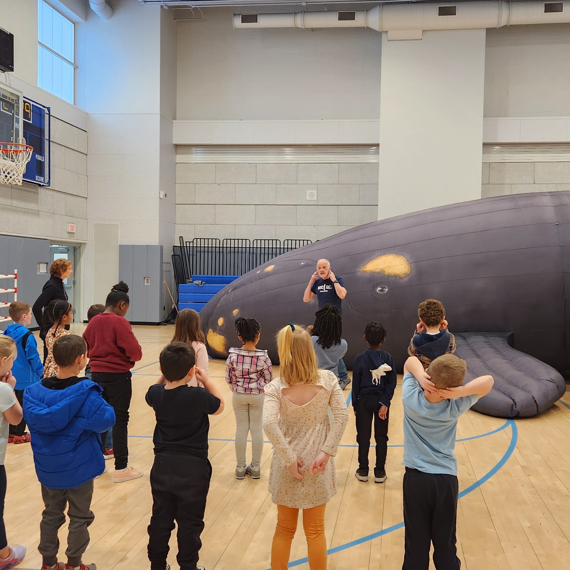 Education Programs - Whale & Dolphin Conservation USA